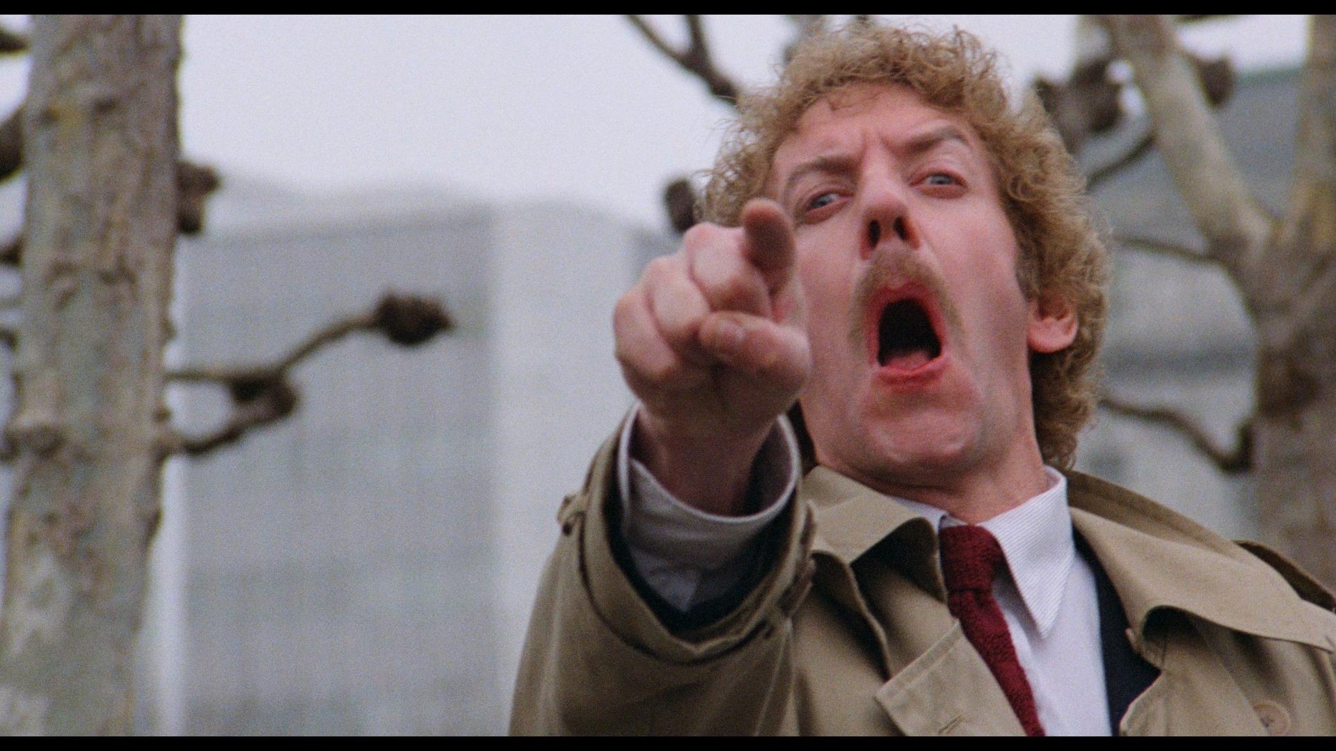 Pod People Invasion Of The Body Snatchers